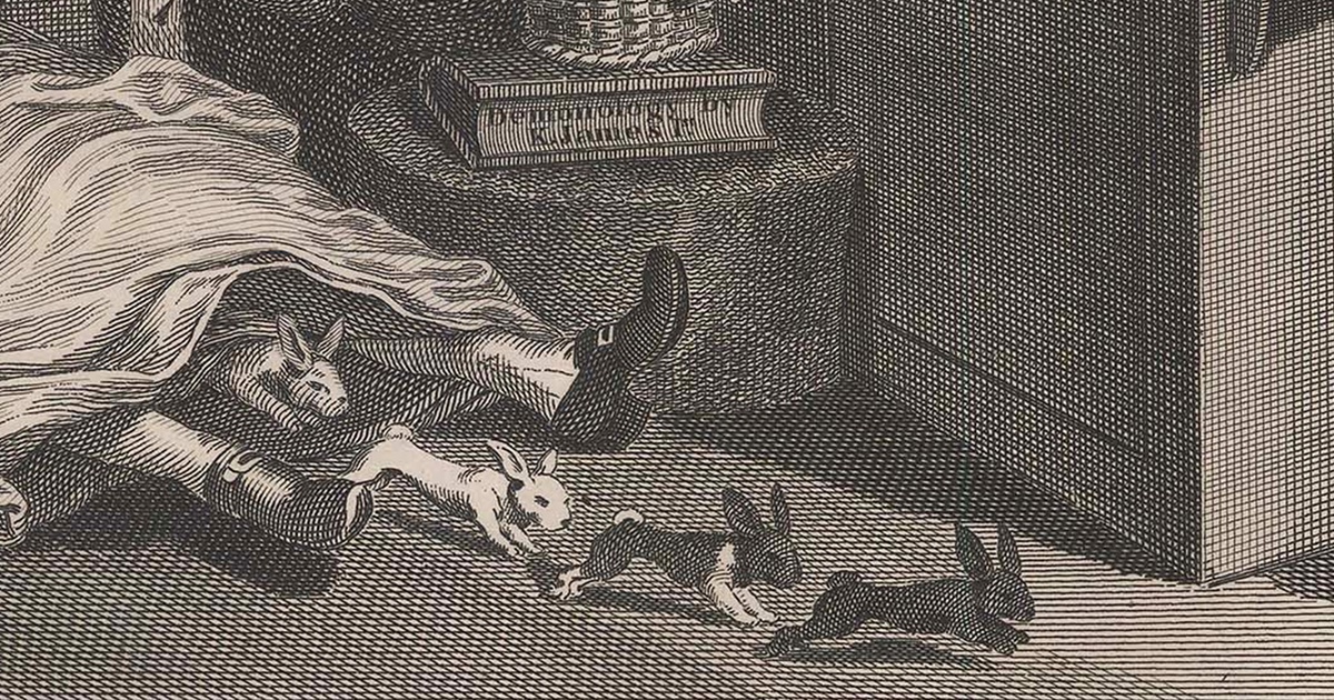 The Curious Case of Mary Tofts | The Map House